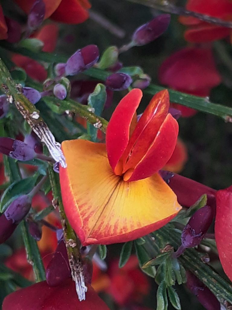 This year's garden to-do list